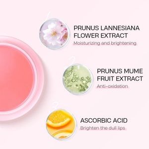 LAIKOU | Makeup | Japan Sakura Lip Mask | Poshmark